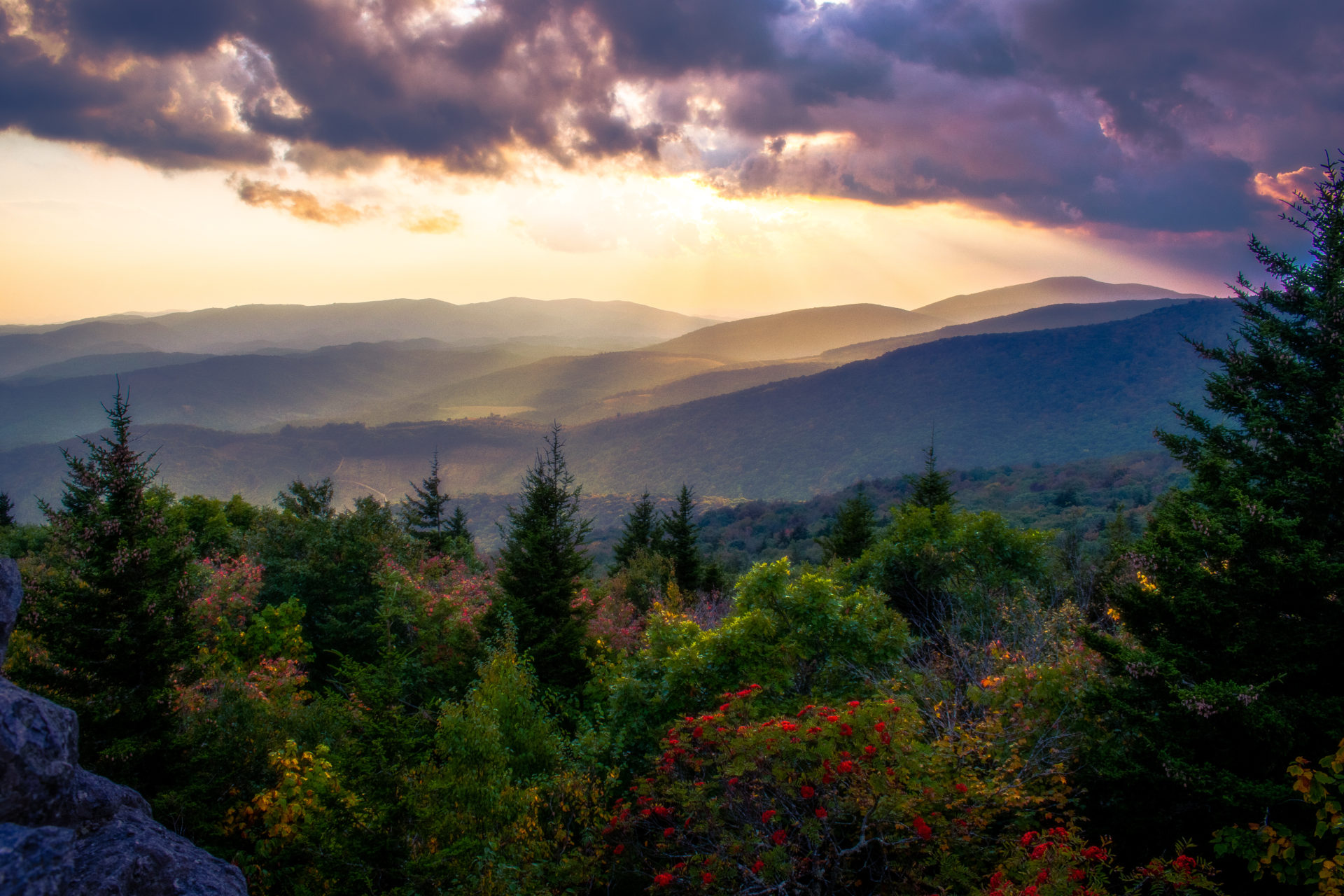 Molasses a Story from Grayson Highlands - Visit Southwest Virginia