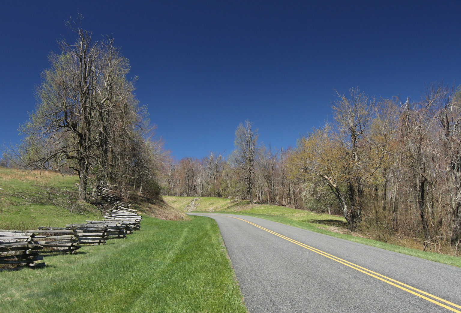 Southwest Virginia's Scenic Blue Ridge Parkway - Visit Southwest Virginia