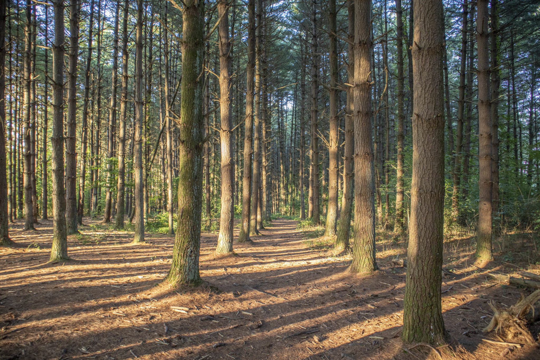 10 Fun things to Do in Southwest Virginia - Visit Southwest Virginia